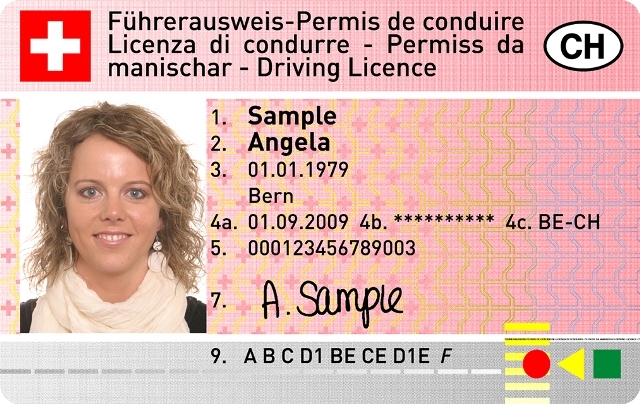 Driving Licence | idphoto - DIY Swiss passport pictures